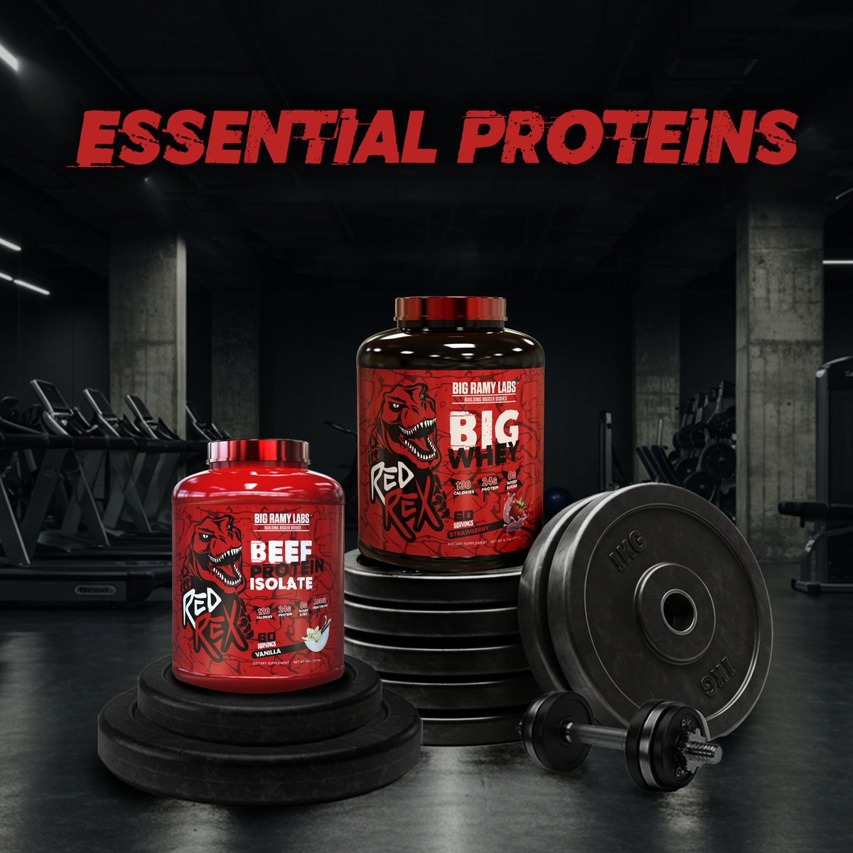 BIG RAMY LABS | GO BIG OR GO HOME!