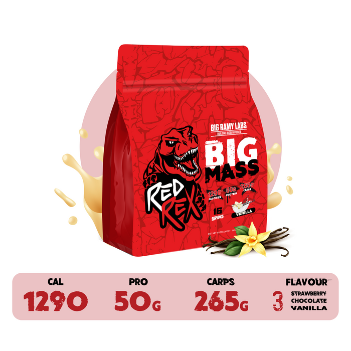 RED REX BIG MASS GAINER